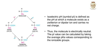Amino Acids.pptx