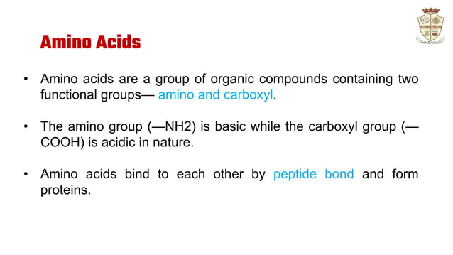 Amino Acids.pptx