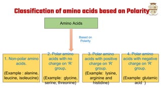 Amino Acids.pptx