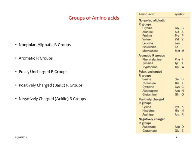 Amino Acidspptx