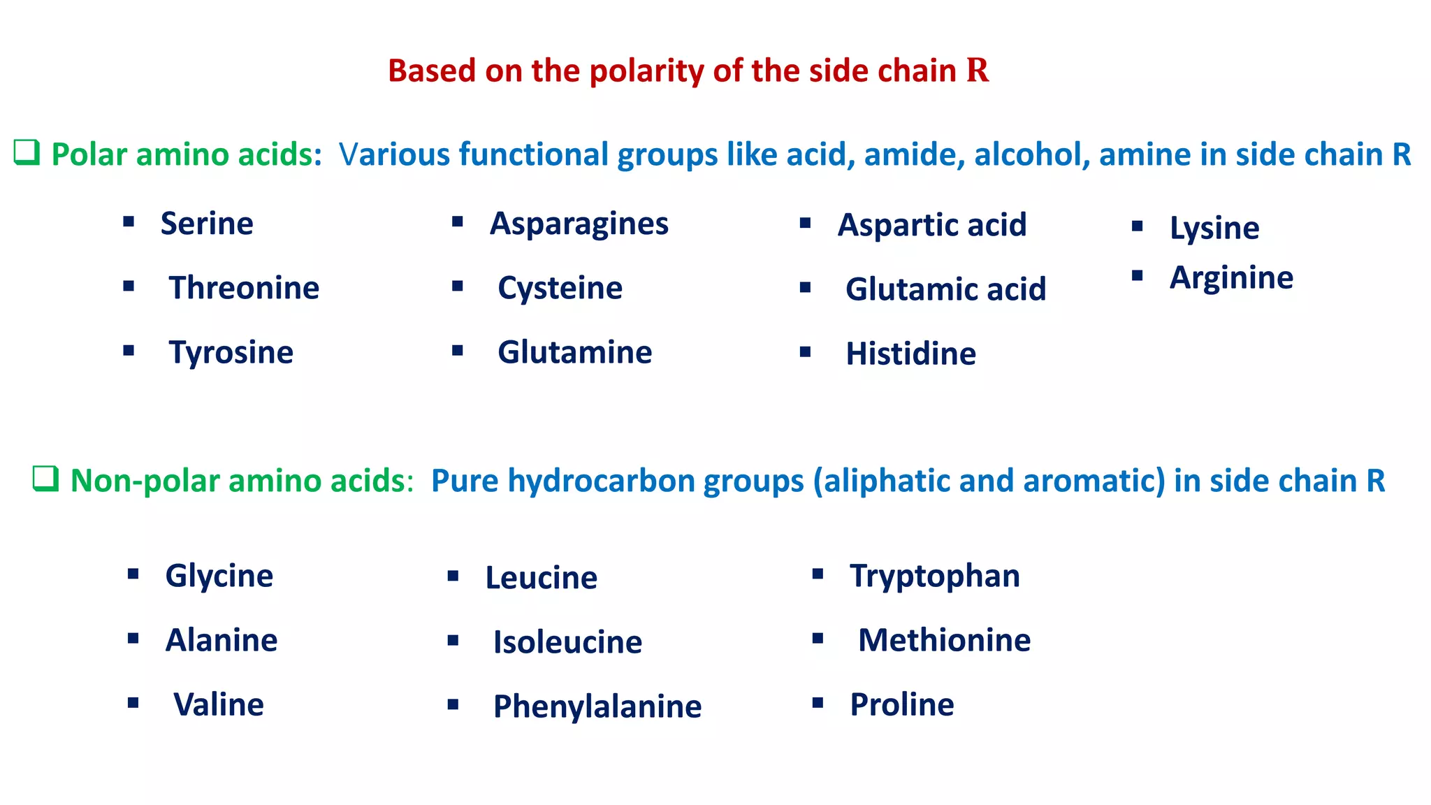 Amino Acids.pdf