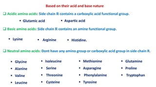 Amino Acids.pdf