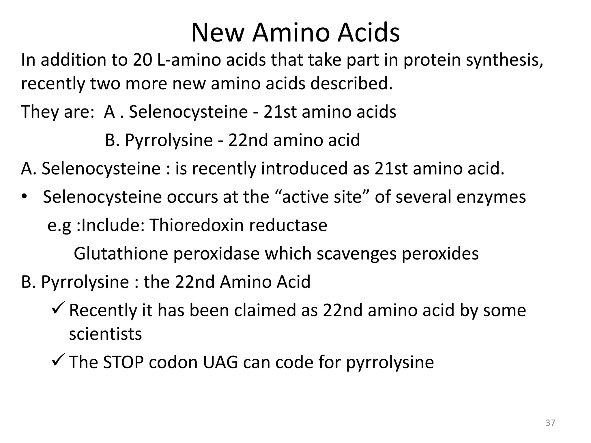 Amino acids.pptx