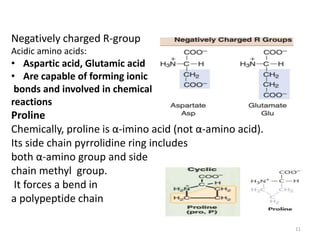 Amino acids.pptx