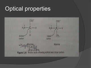 Amino acids.pptx