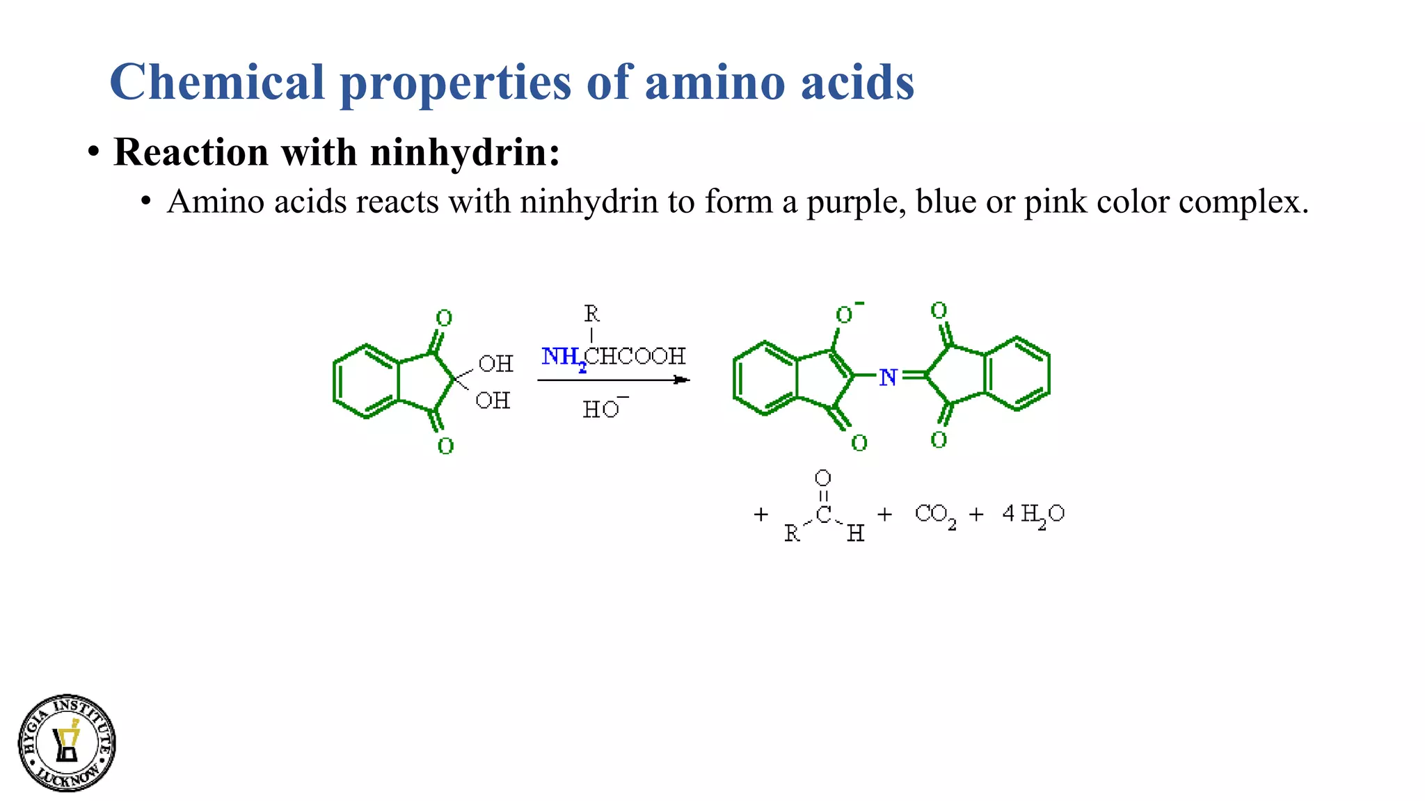 amino acids.pptx