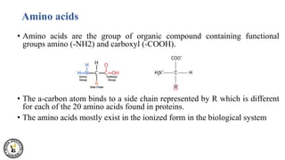 amino acids.pptx