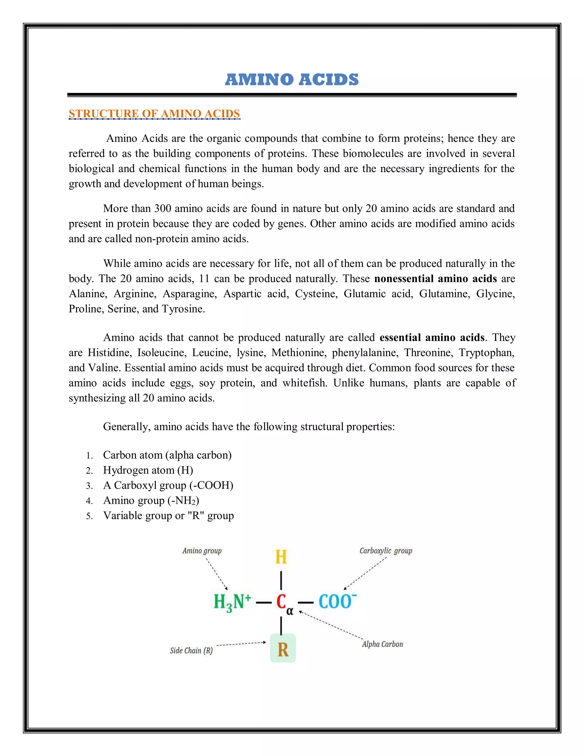 AMINO ACIDS.pdf