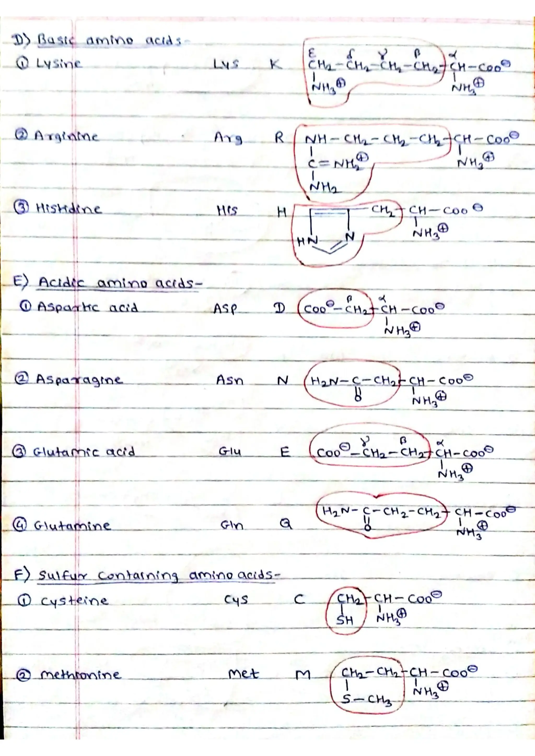 Amino Acids | PDF