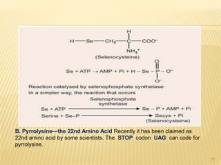 Structure of Proteins & AMINO ACIDS.pptx