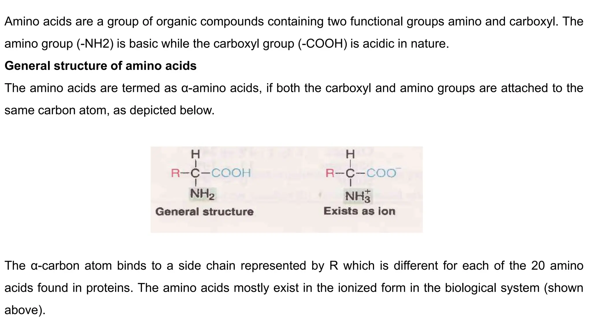 Amino Acidsppt Food Technology Notes Biochemistry Ppt