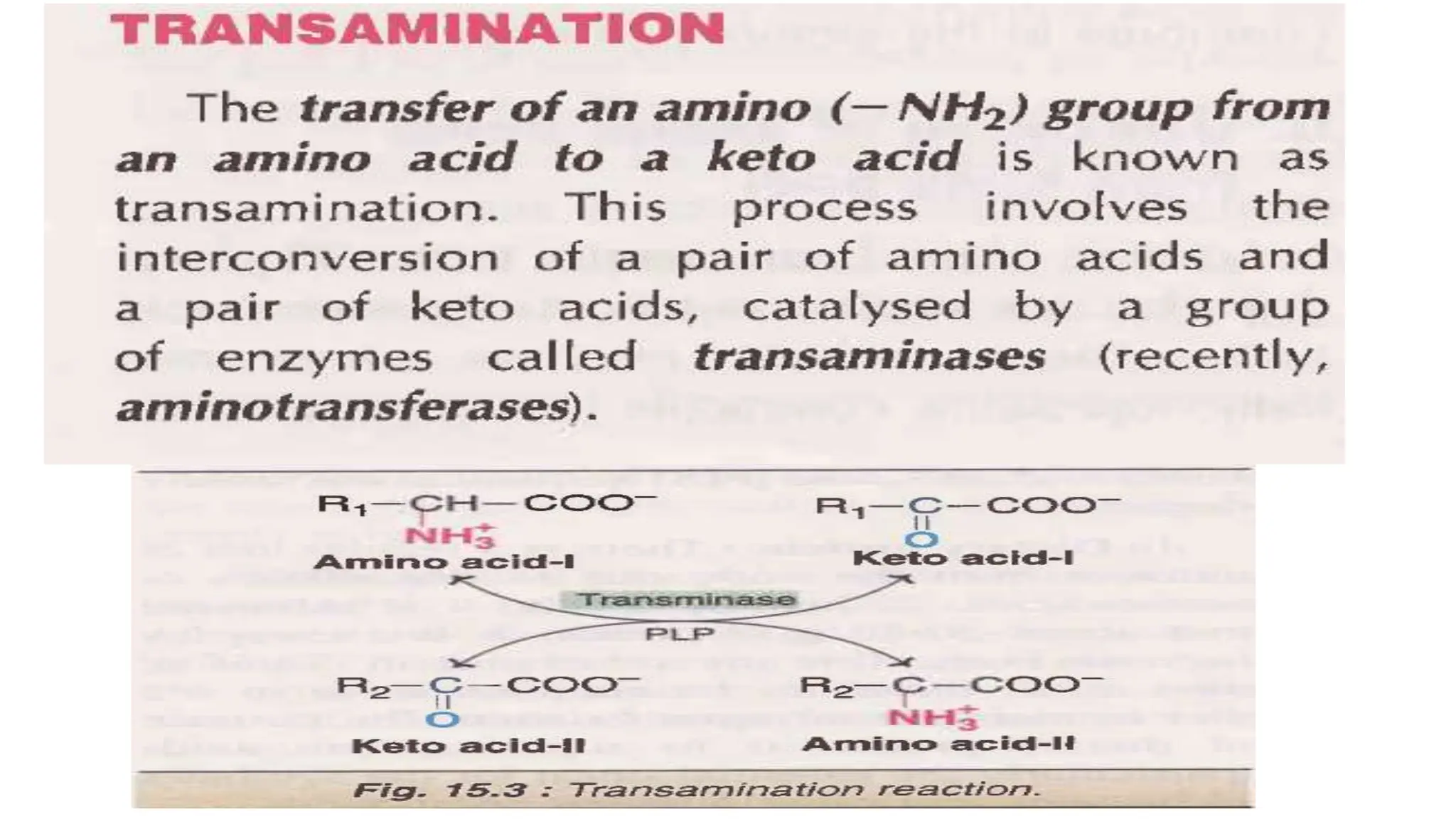 Amino Acidsppt Food Technology Notes Biochemistry Ppt