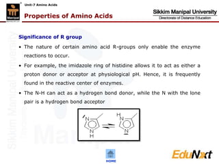 Biochemistry of amino acids. Information about different amino acids | PPT