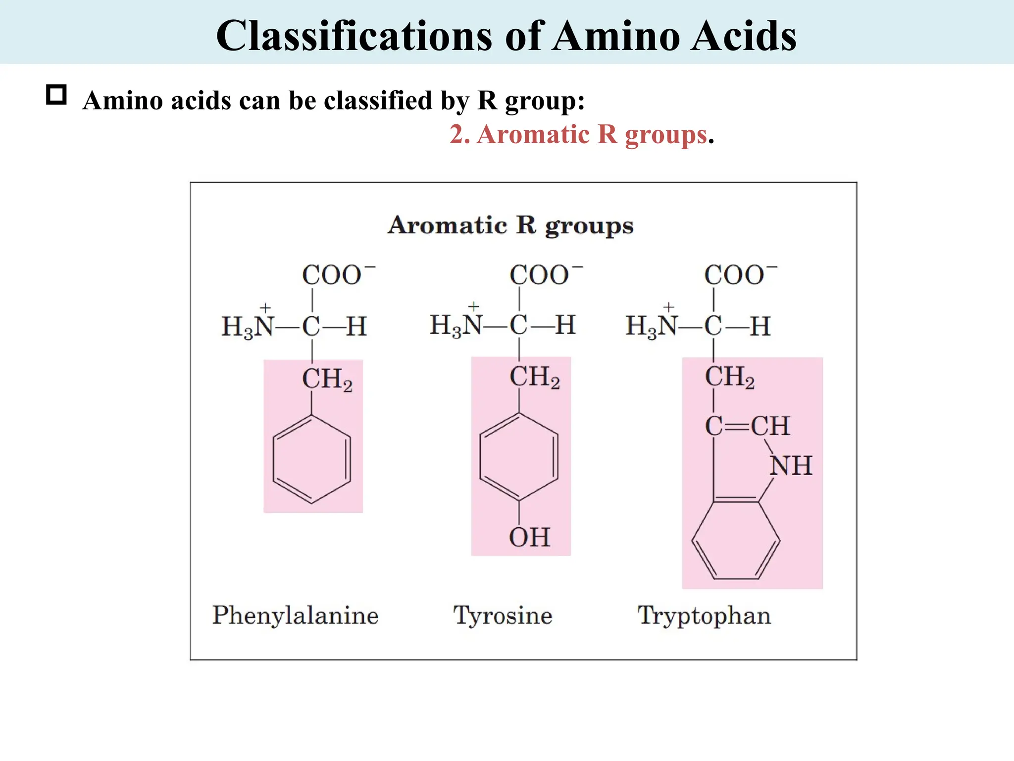 Amino Acids of the body and their structures and .pptx