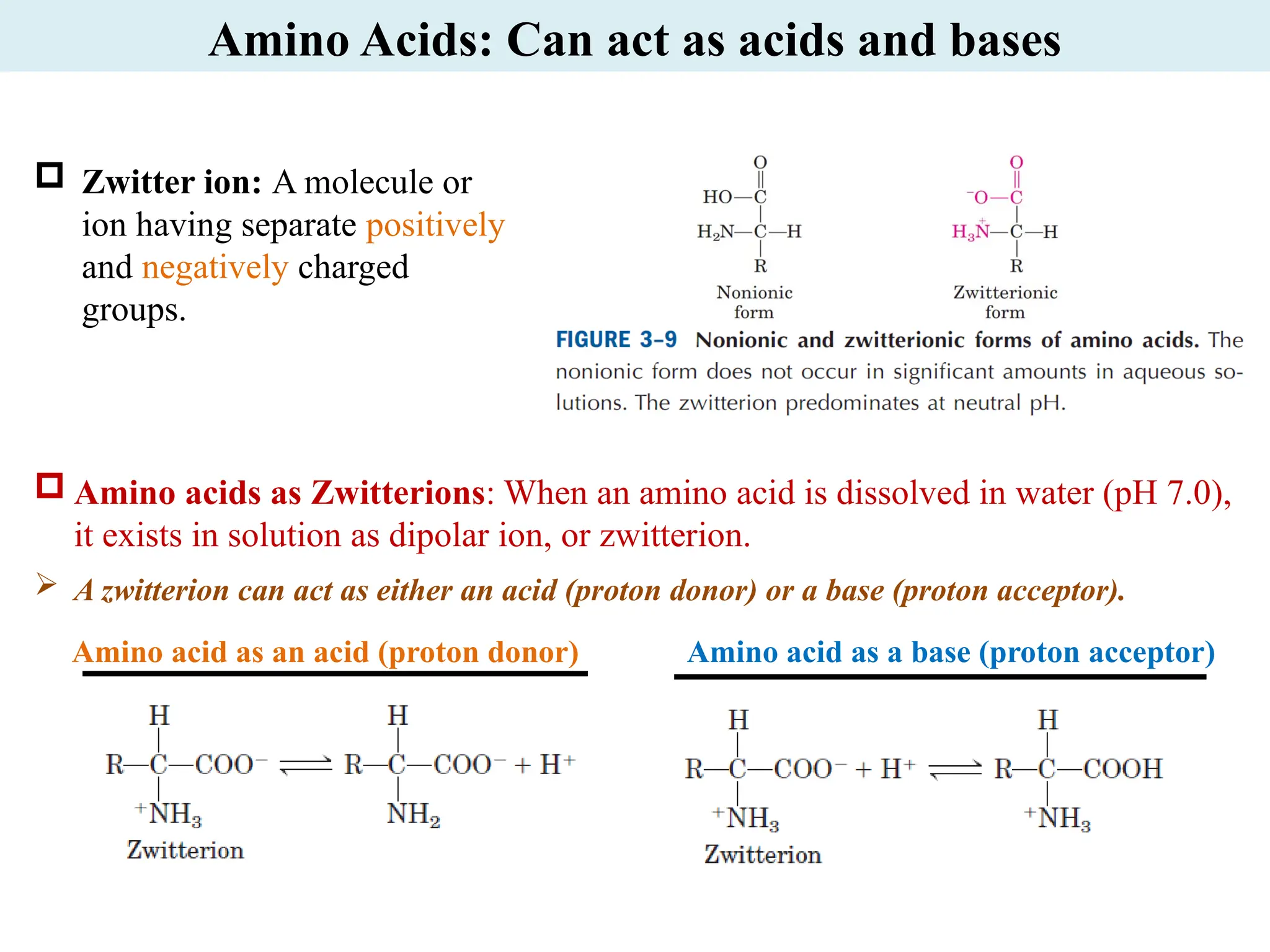 Amino Acids of the body and their structures and .pptx