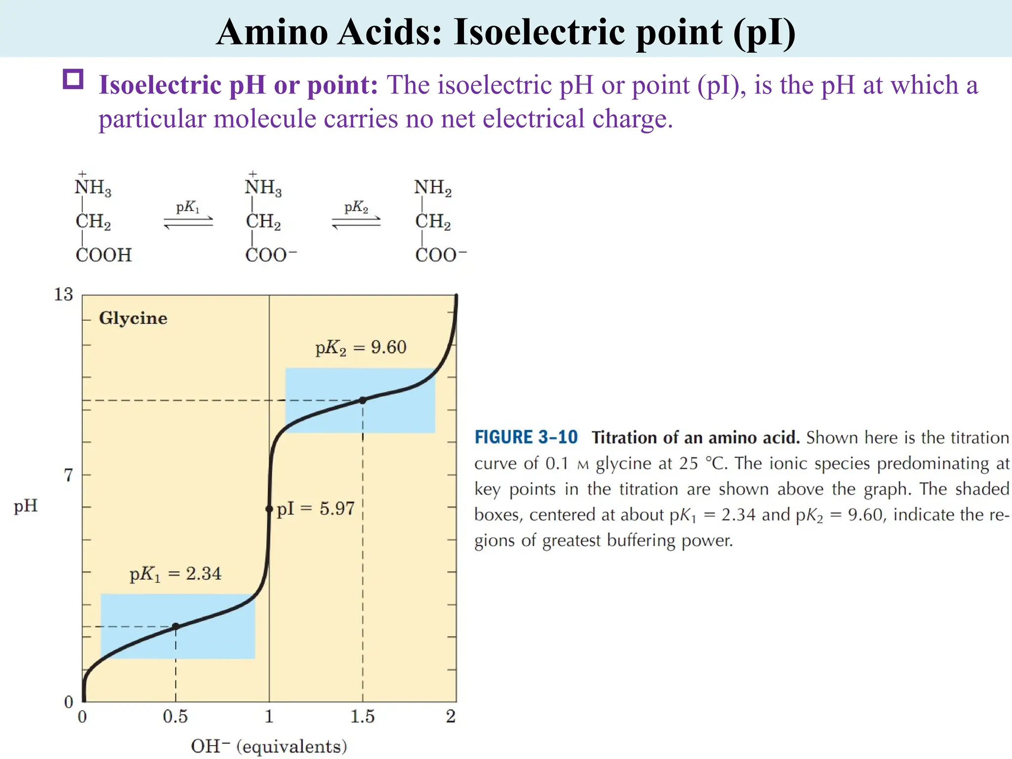 Amino Acids of the body and their structures and .pptx