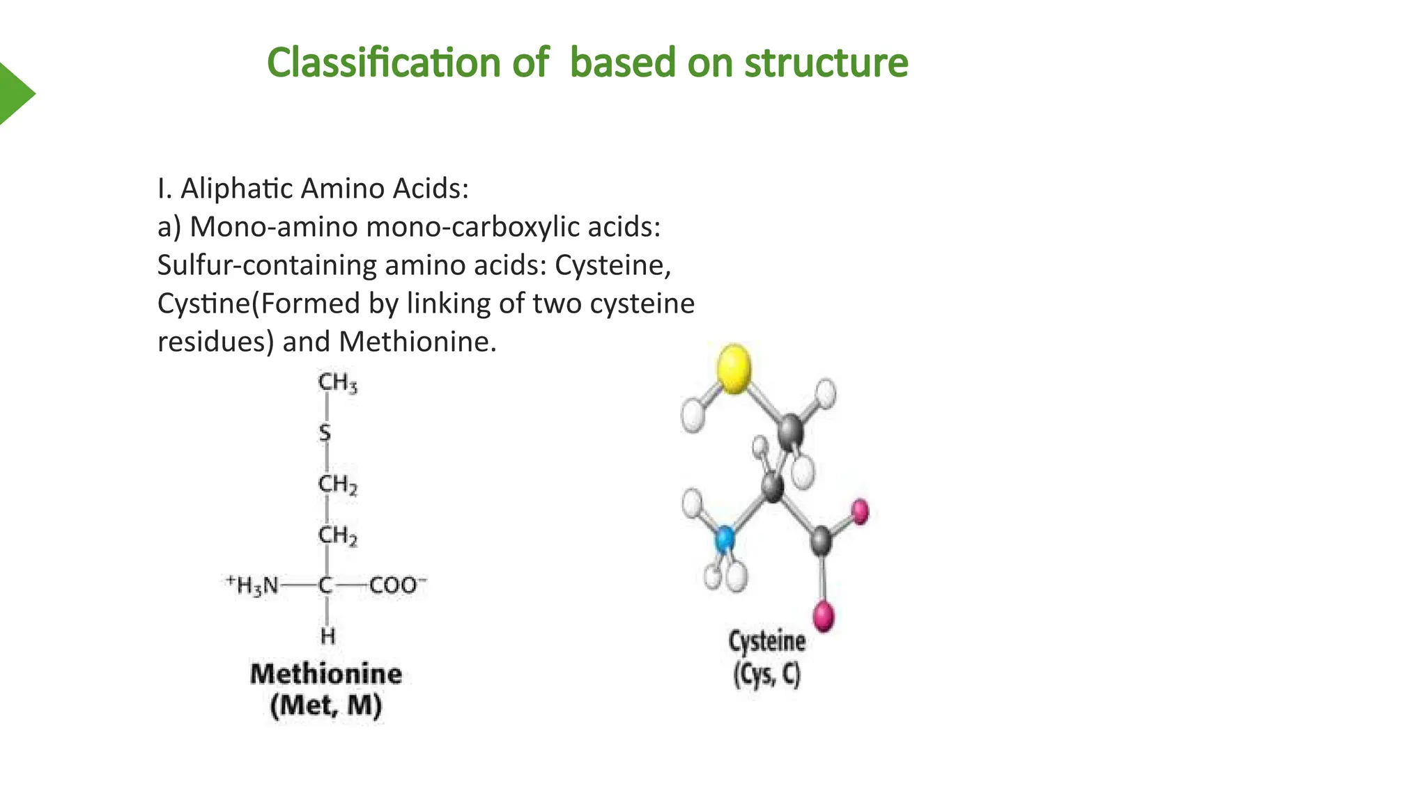 Amino Acids structure and classification | PPTX
