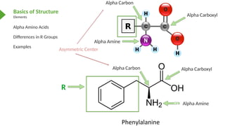 Amino Acids Introduction the nomenclature | PPTX