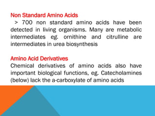 Comprehensive Overview of Amino Acids: Structure, Classification, and ...