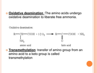 Amino acids abhishek sharma | PPTX