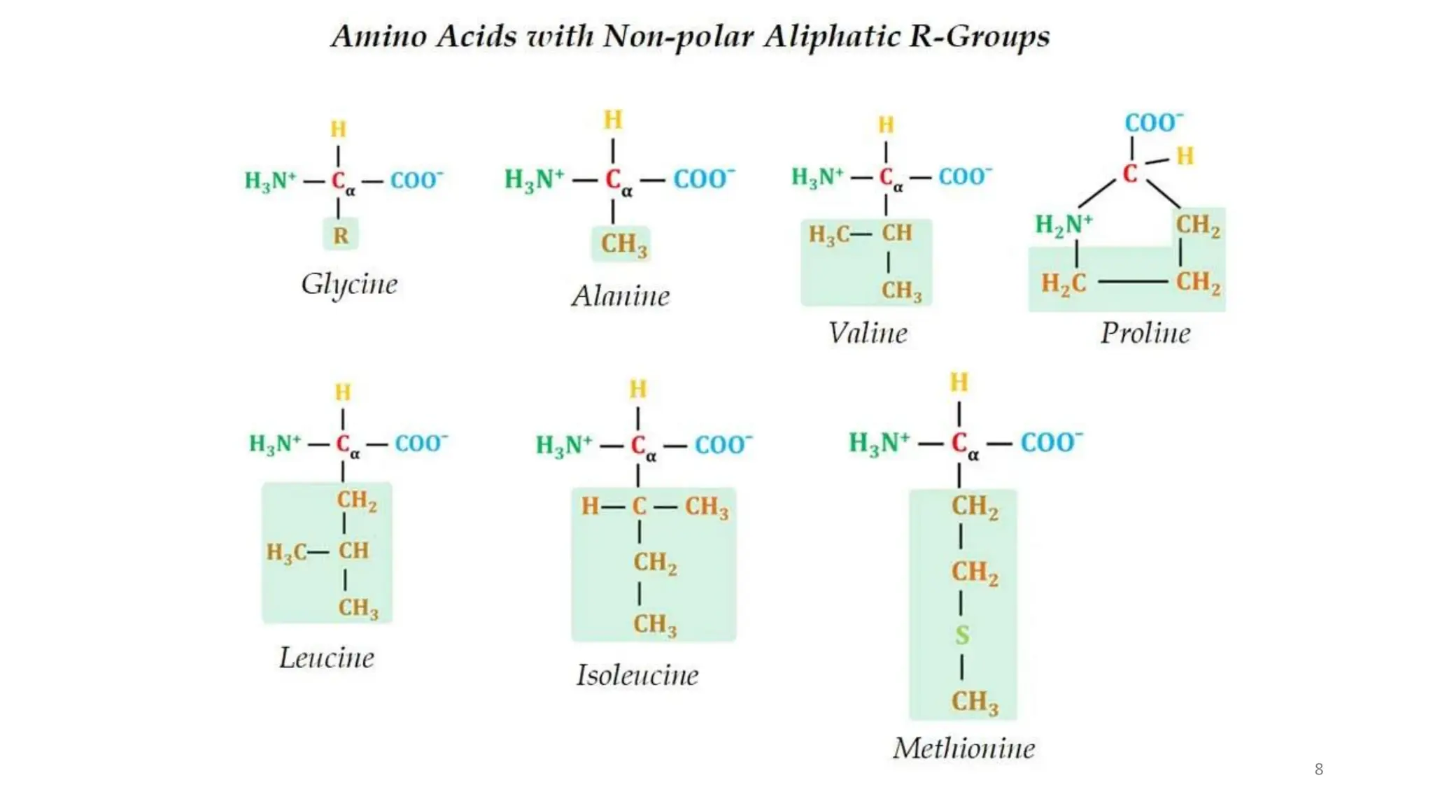 Amino acids-Classification, Structure, and reactions of amino acids.pdf