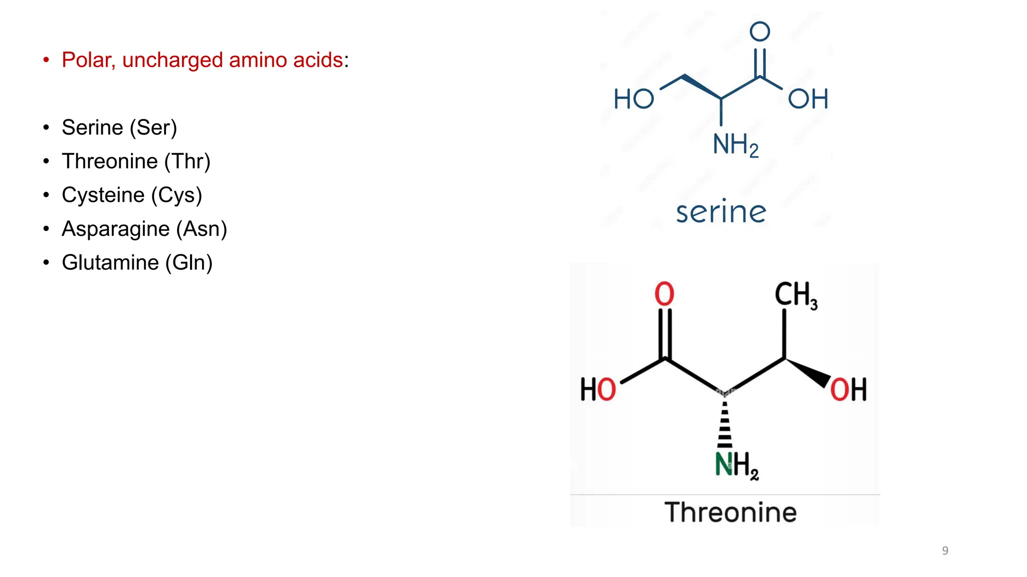 Amino acids-Classification, Structure, and reactions of amino acids.pdf