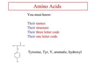 Amino acids 1 | PPT