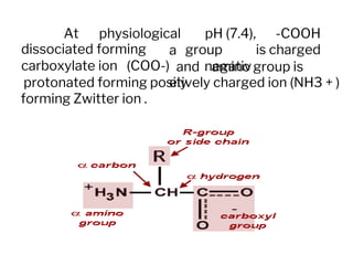 amino acids biochemistry 002 (1) (1).pptx