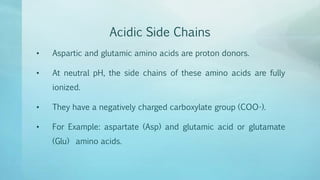 Amino acids | PPTX
