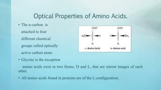 Amino acids | PPTX | Chemistry | Science