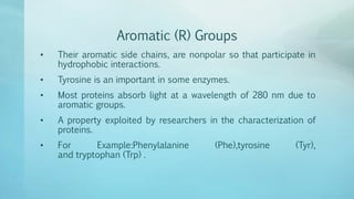 Amino acids | PPTX | Chemistry | Science
