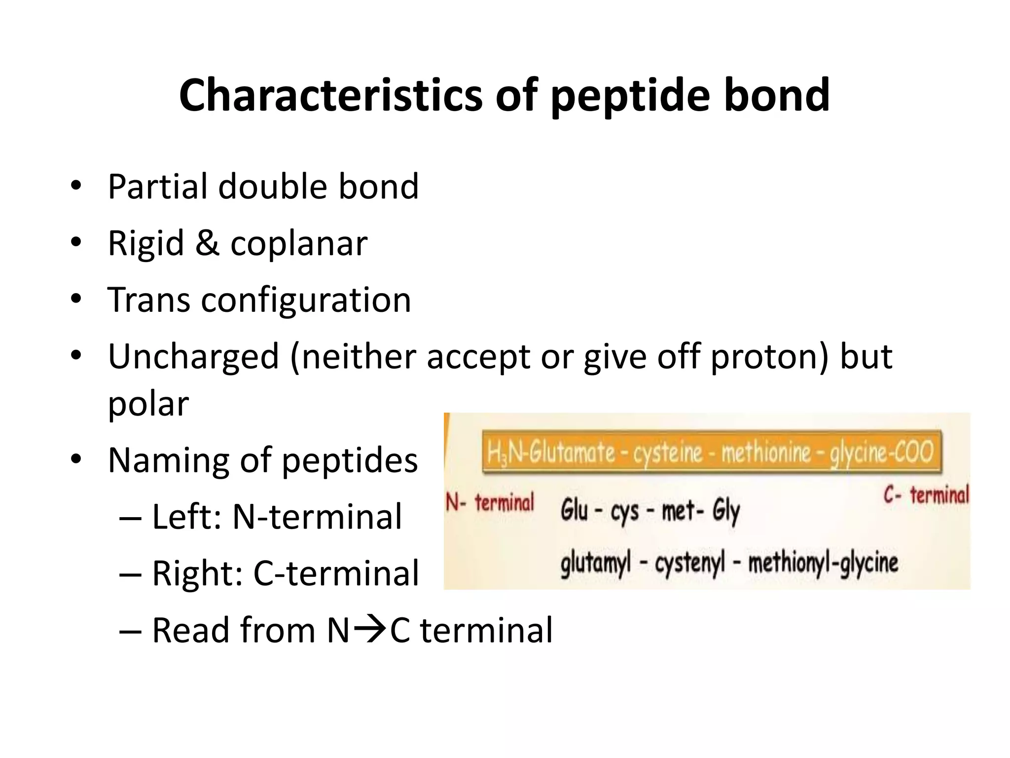 Amino acid & Protein | PPT