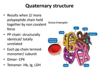Amino acid & Protein | PPT