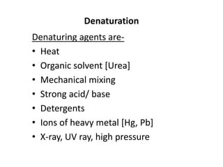 Amino acid & Protein | PPT