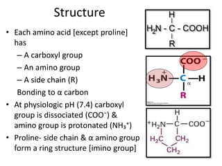 Amino acid & Protein | PPT