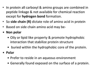 Amino acid & Protein | PPT