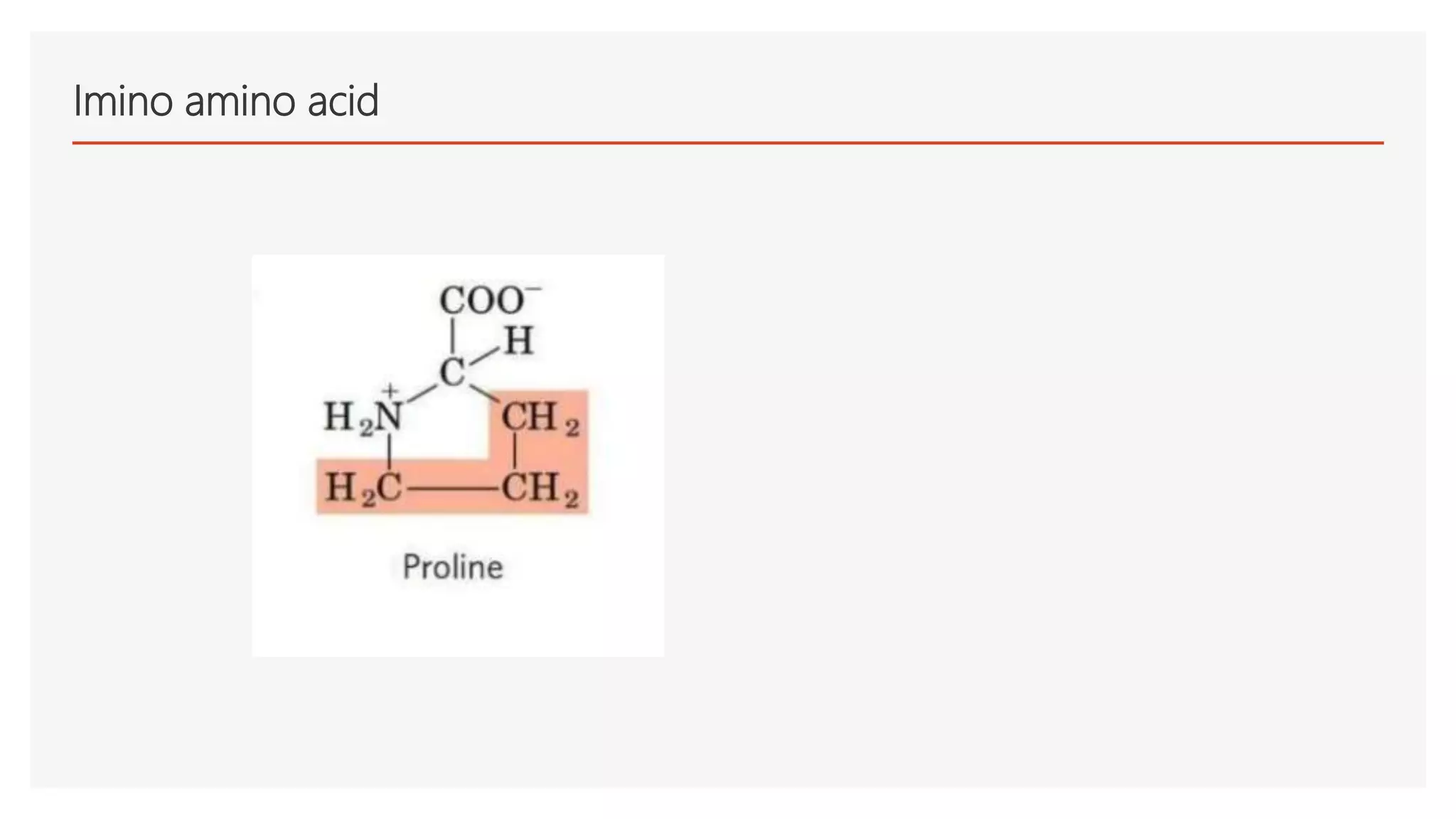 Amino acids and its classification | PPTX