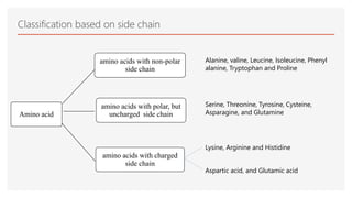 Amino acids and its classification | PPTX