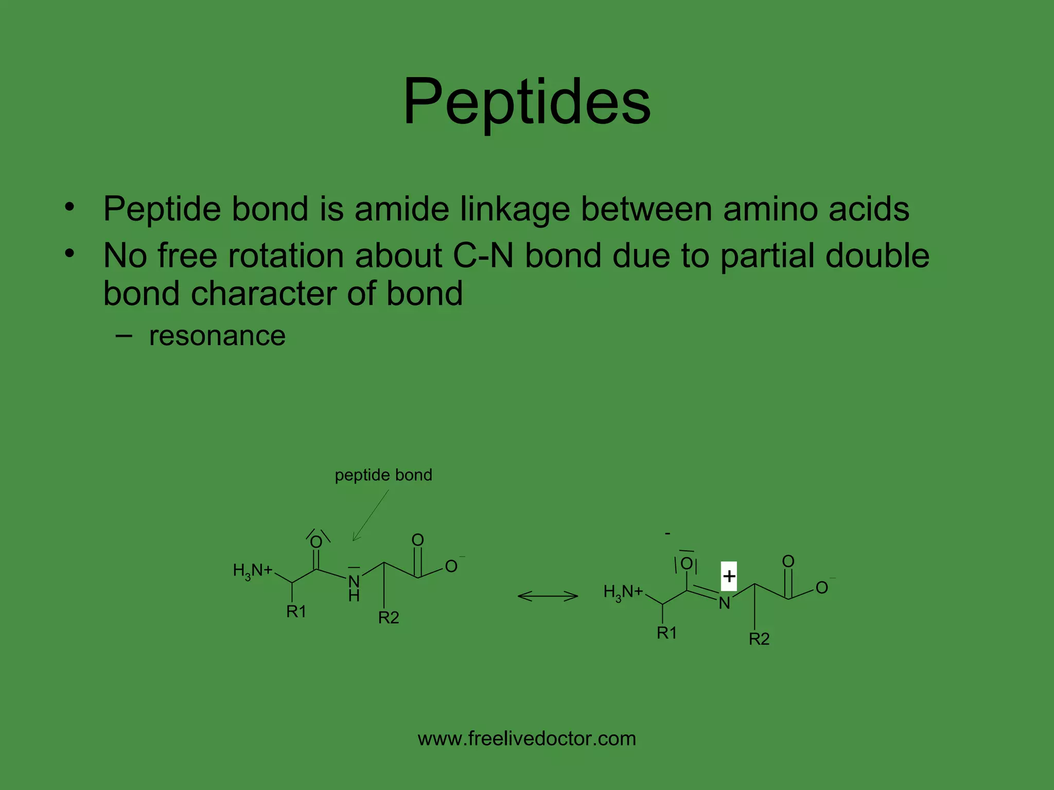 Amino Acids And Peptides | PPT