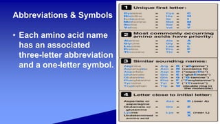 amino acids and peptides.ppt