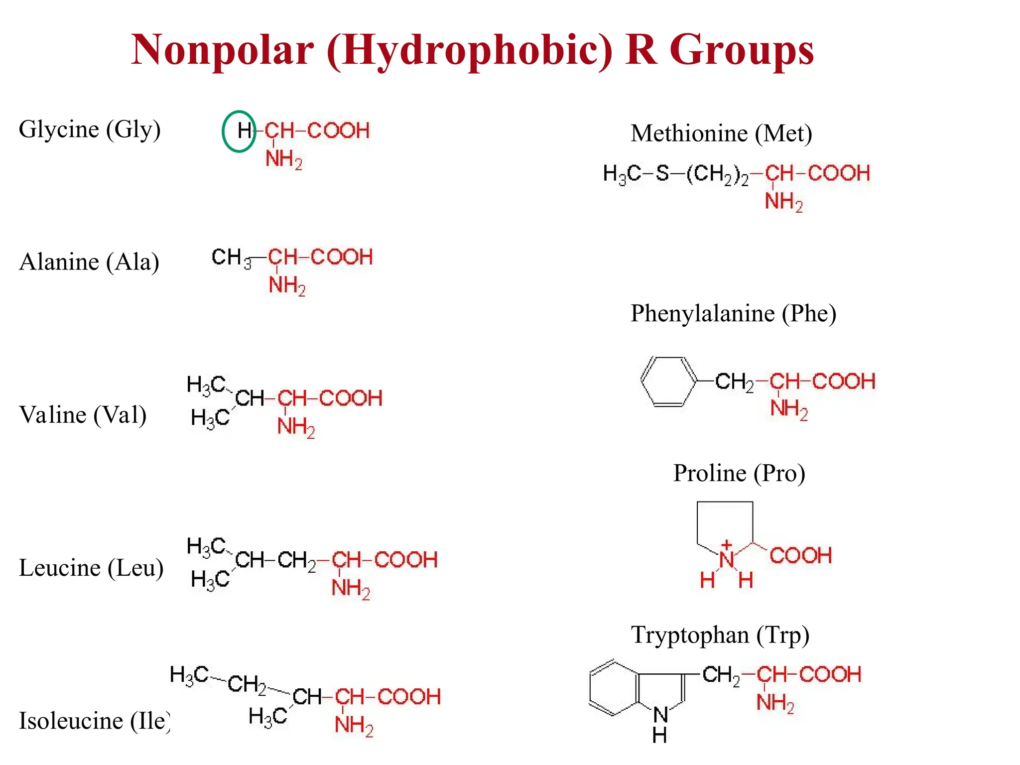Aminoacids -properties and classification | PPT