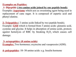 Amino acids and protein | PPT