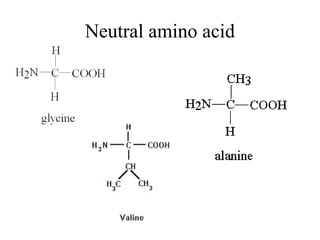 Amino acids and protein | PPT