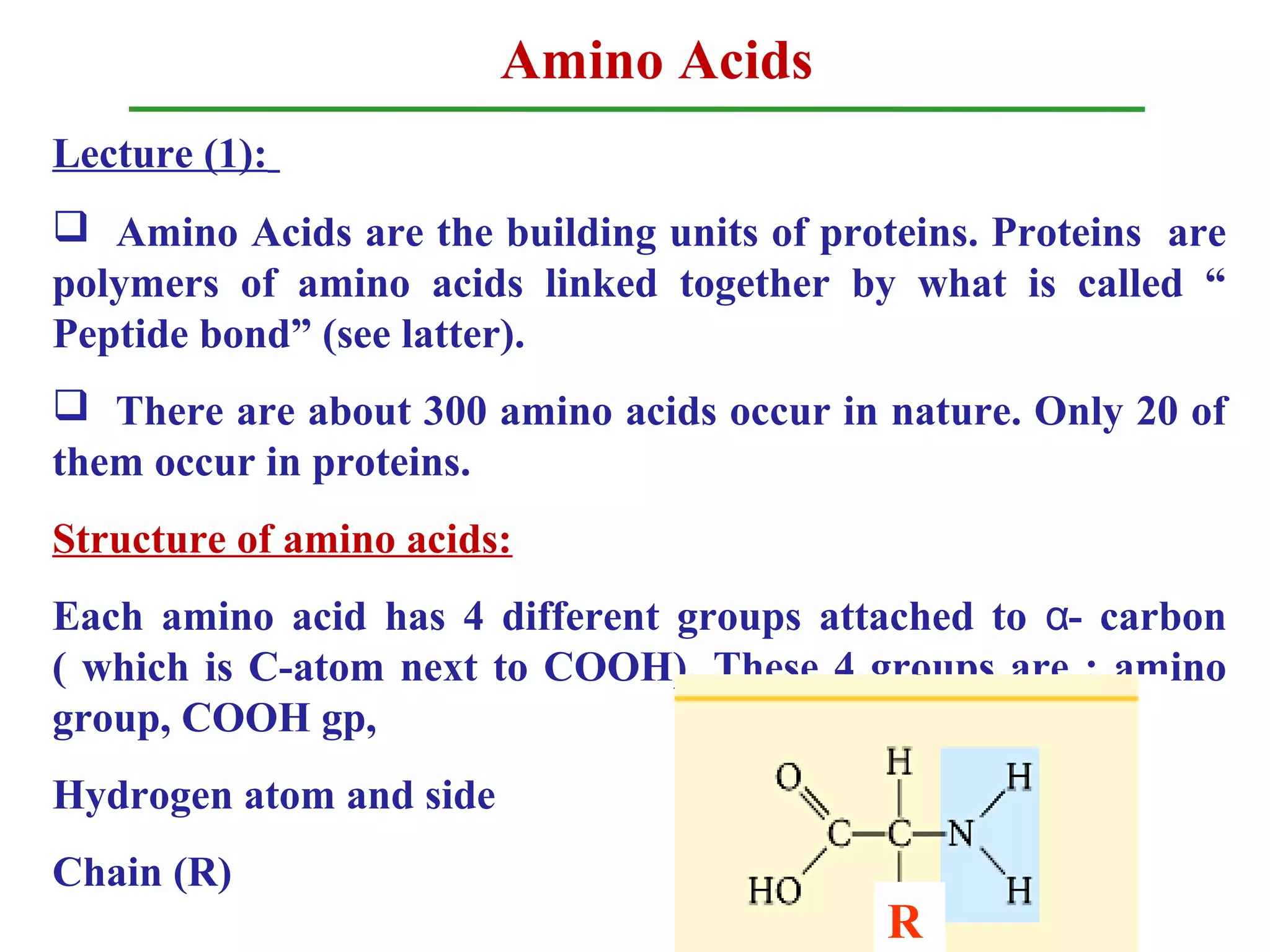 Amino acids and protein | PPT