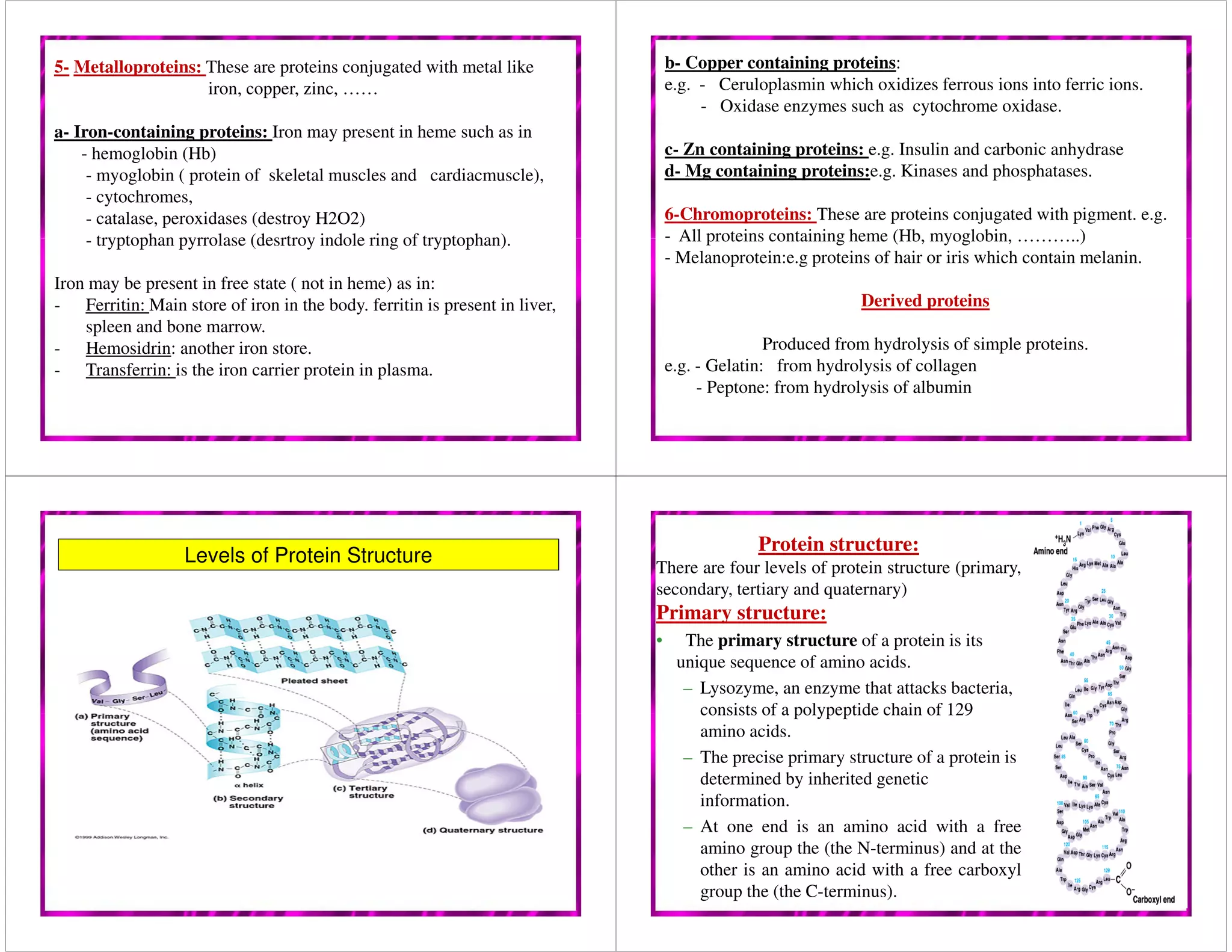 Amino acids and protein | PDF