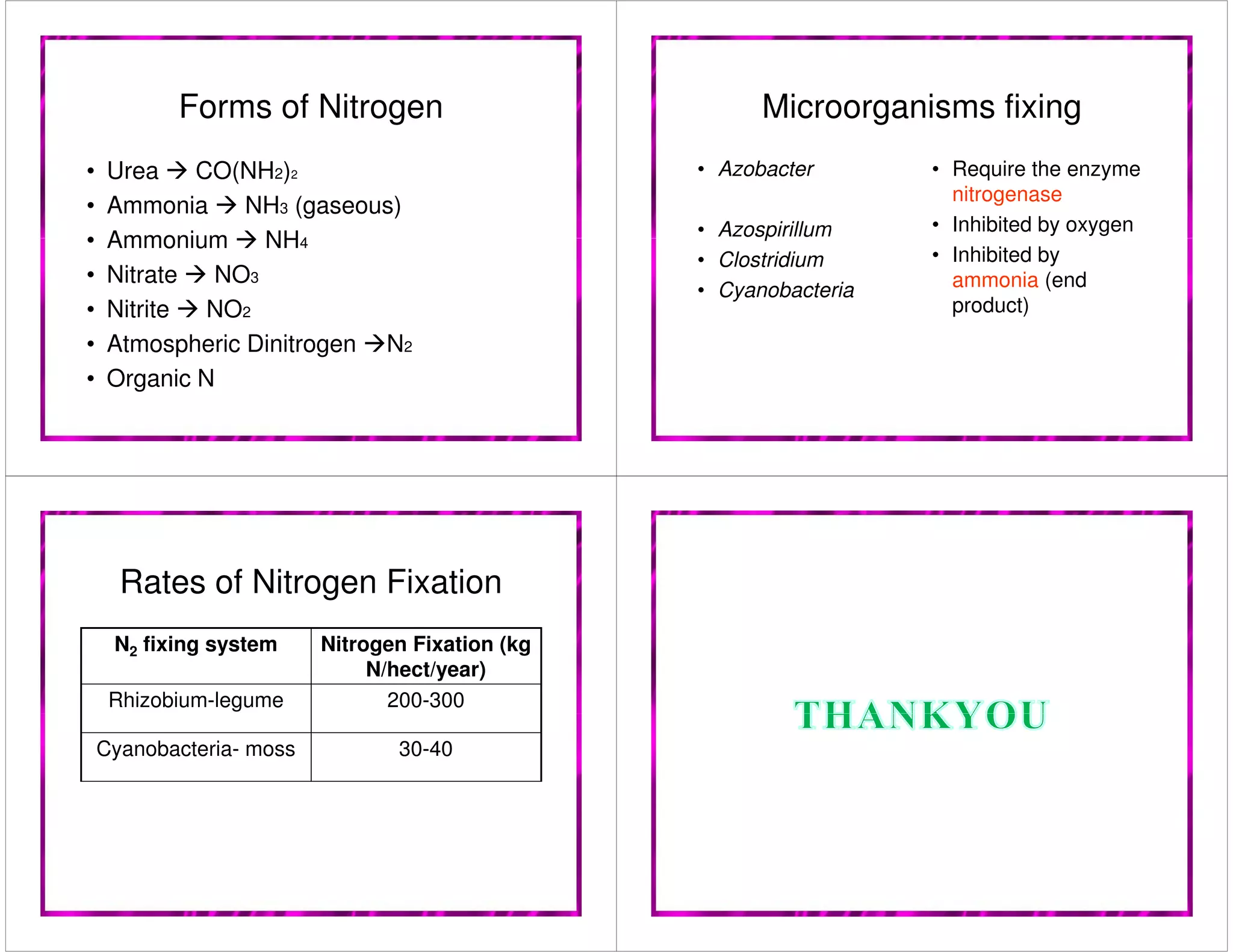 Amino acids and protein | PDF