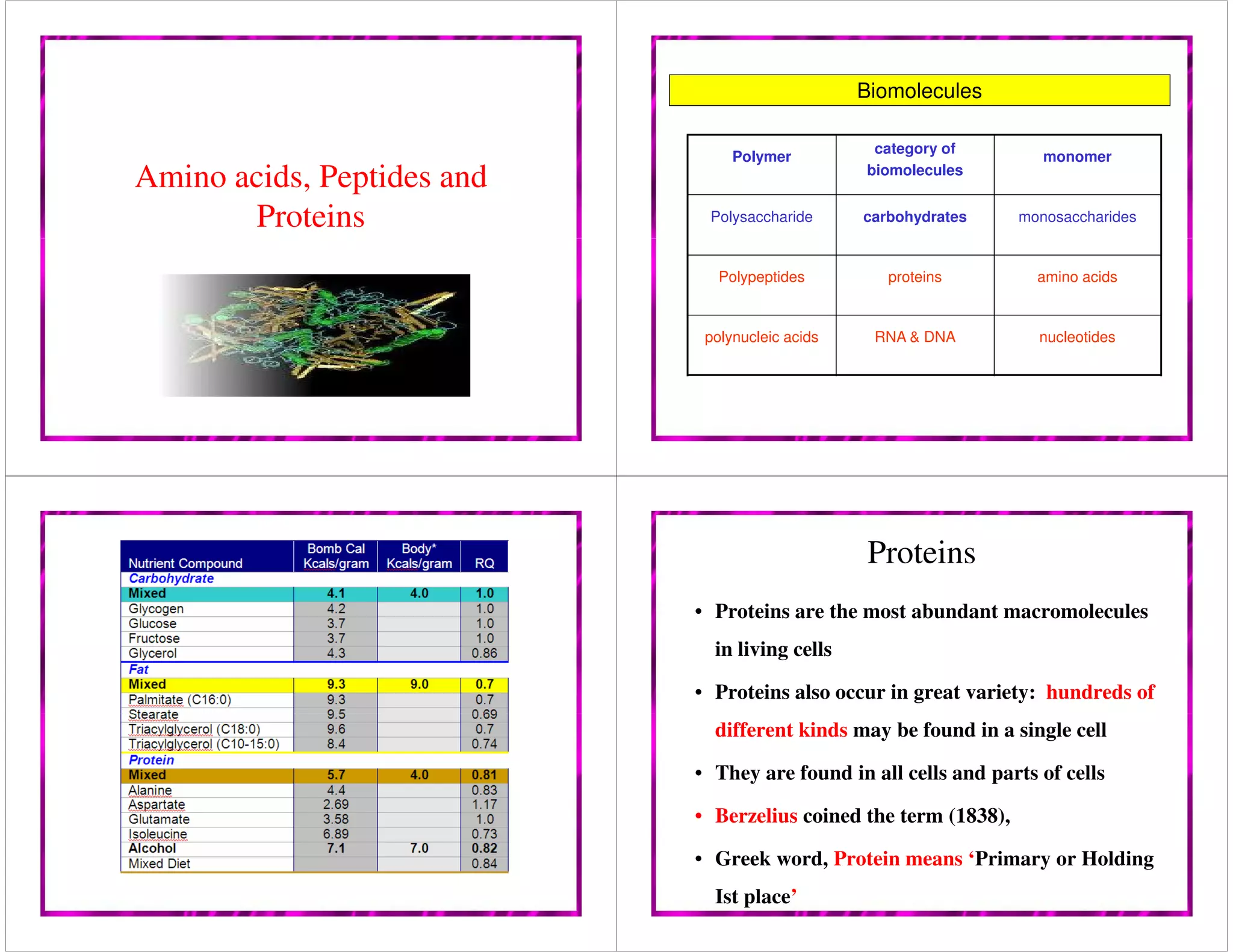 Amino acids and protein | PPT