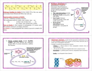 Amino acids and protein | PDF