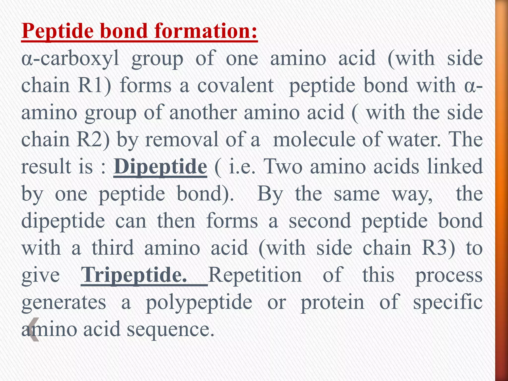 Amino acids and protein.ppt