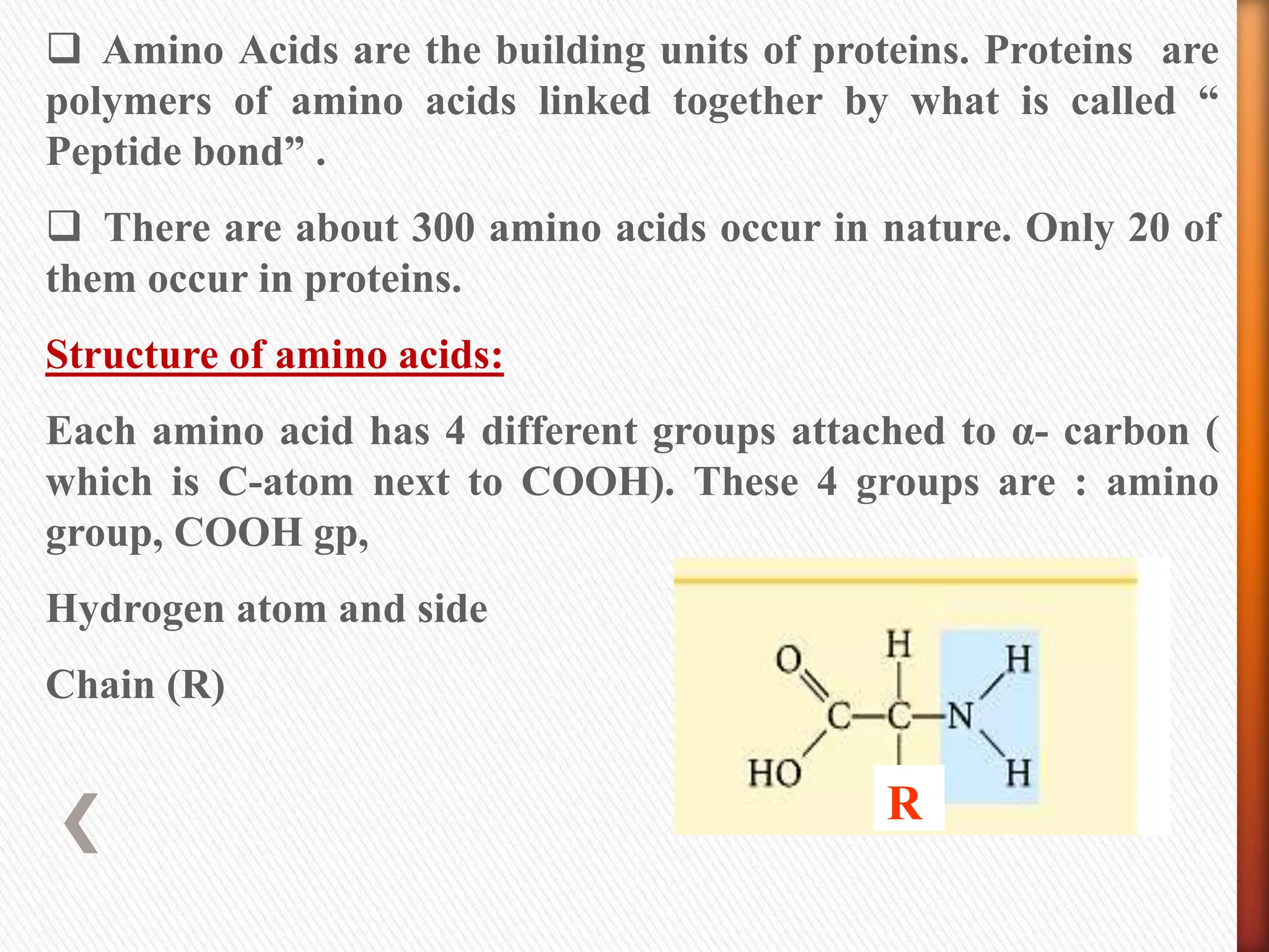 Amino acids and protein.ppt